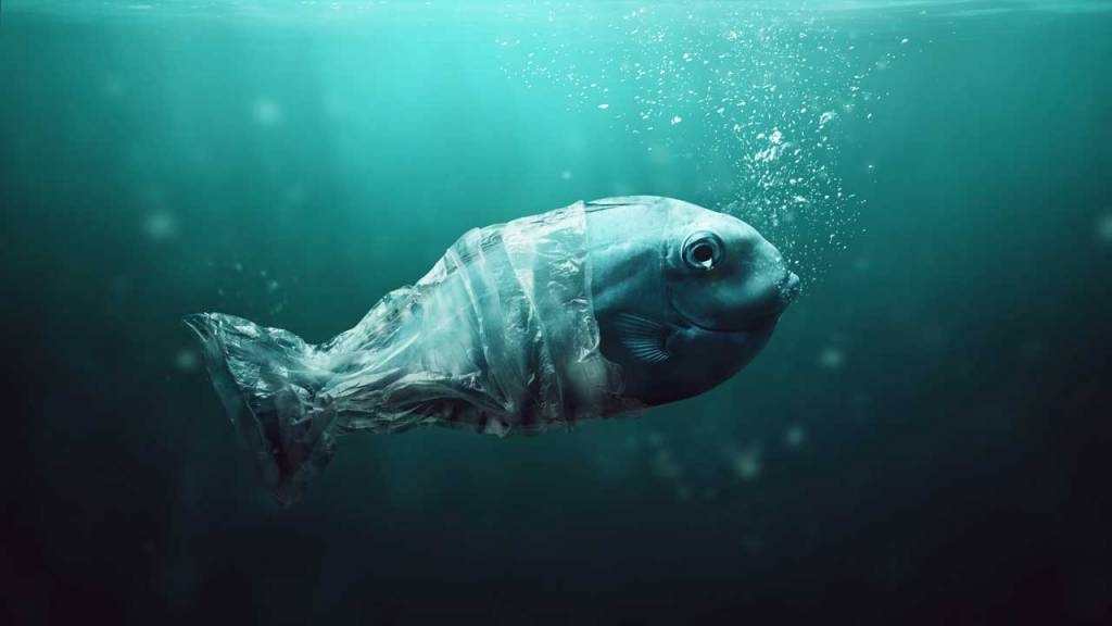 (mikro-)plastik und seine folgen | BewusstGrün